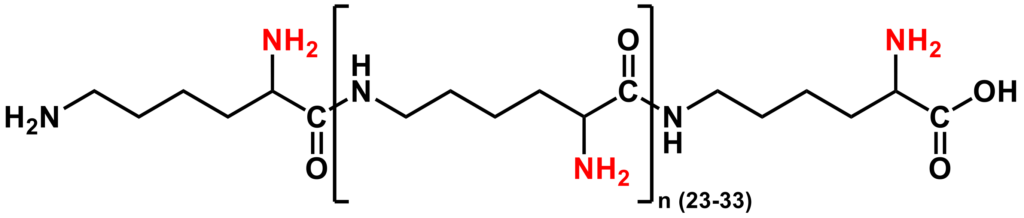 ε-聚赖氨酸及聚赖氨酸盐酸盐 – HeliaGenesis 新日元生